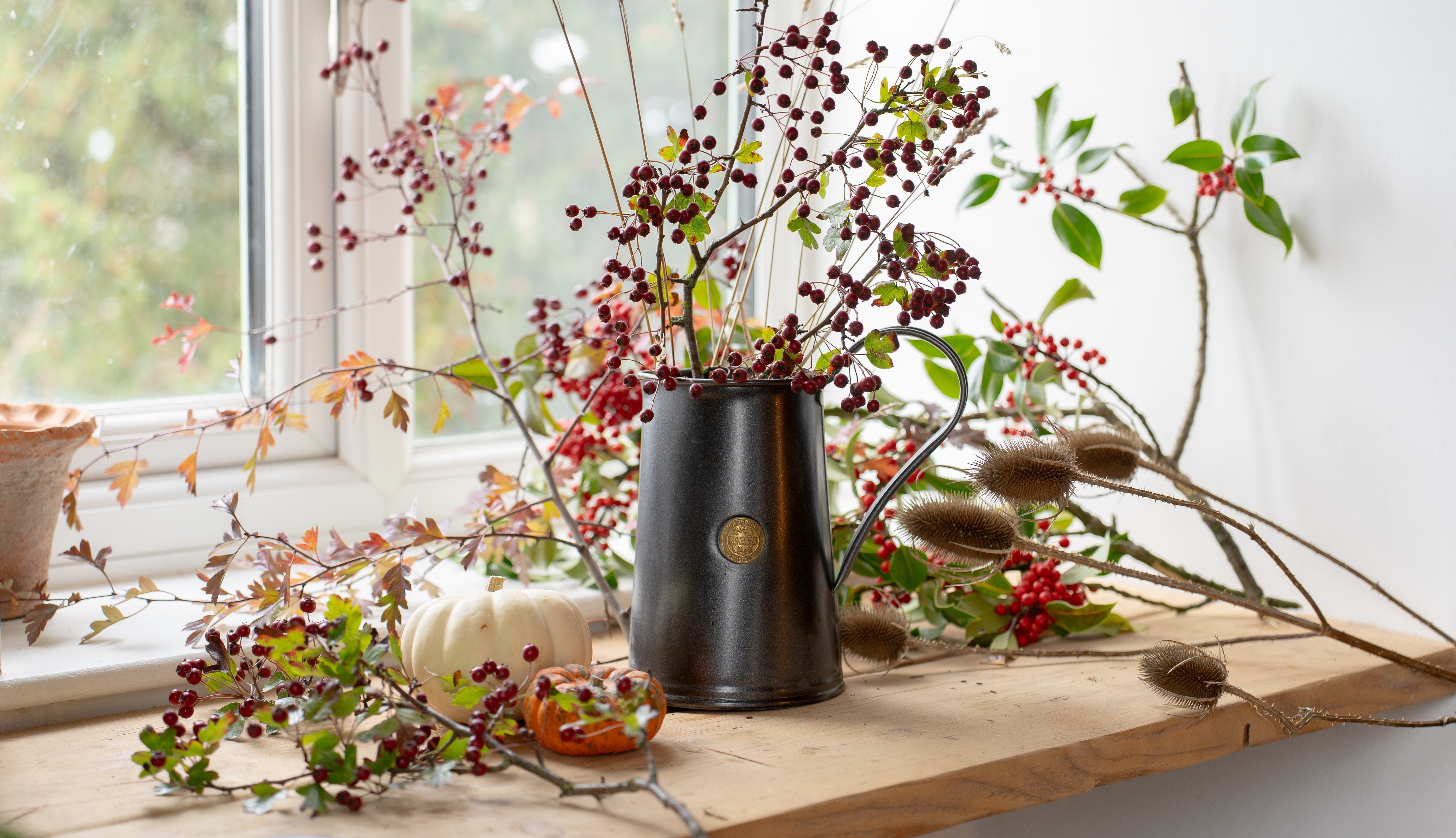 Hedgerow to home: forage a wild autumn arrangement – Haws UK