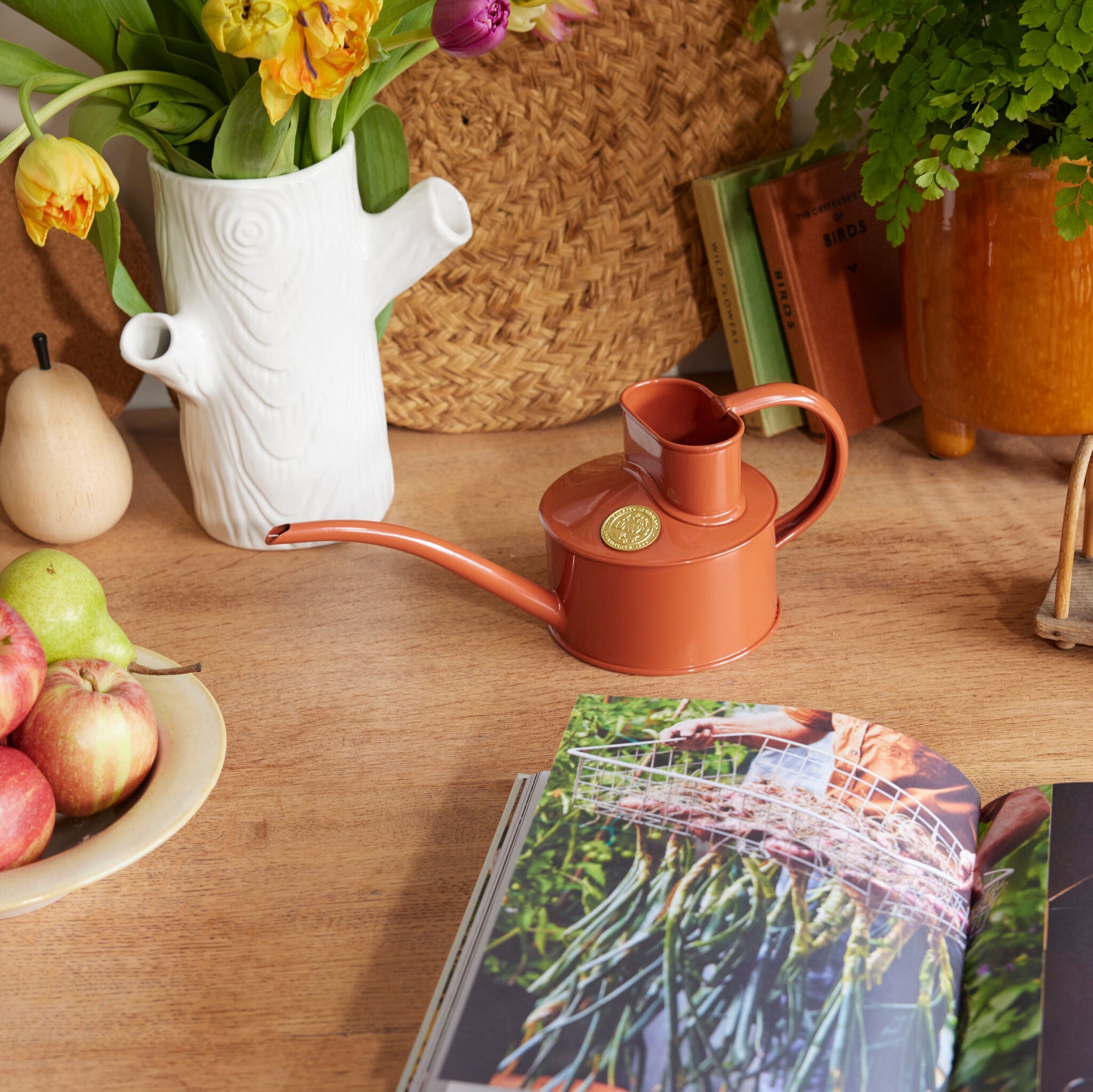 The Fazeley Flow Terracotta Orange - One Pint – UK Haws Watering Cans