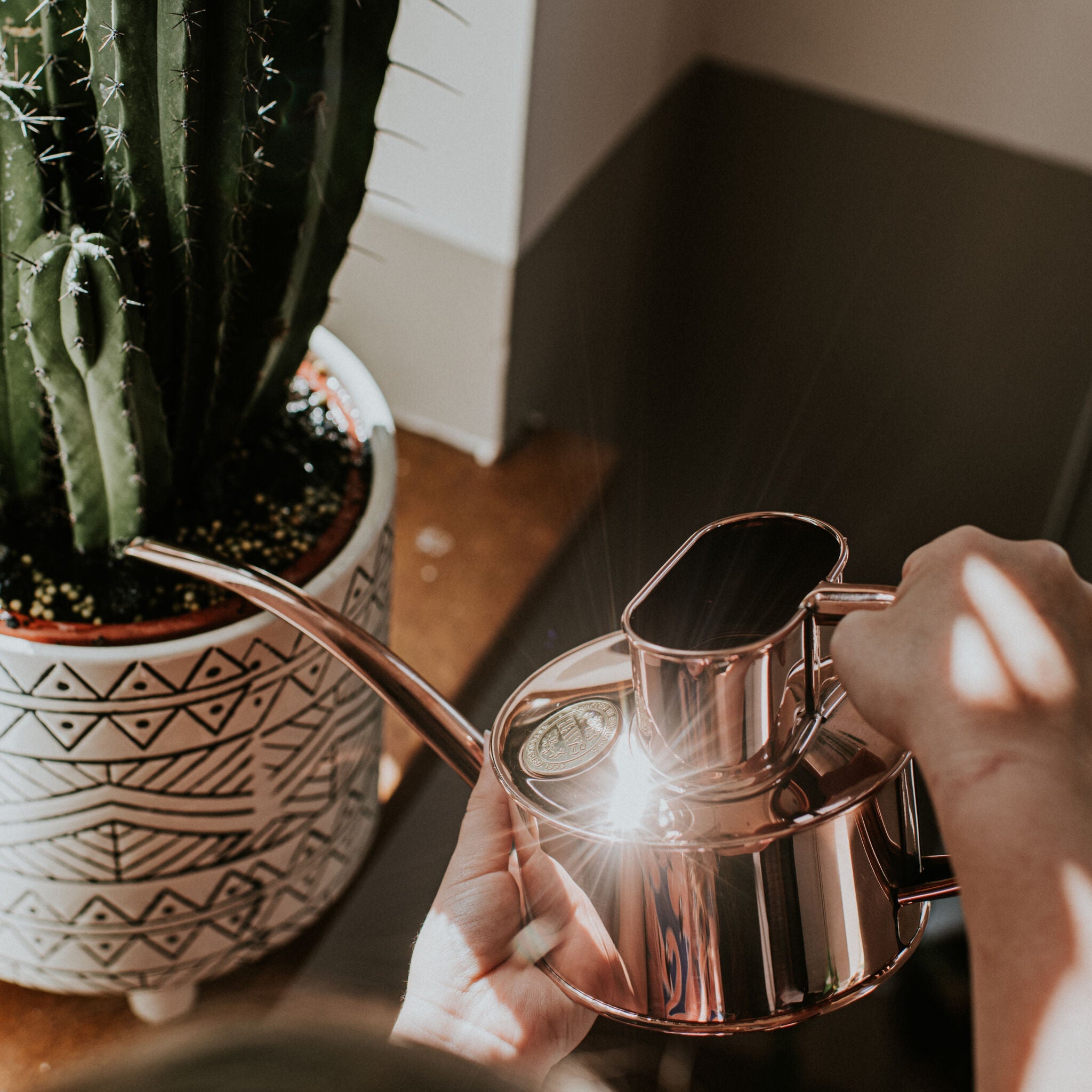 The Fazeley Flow - Houseplant Set - Copper & Brass - One Pint – UK Haws ...